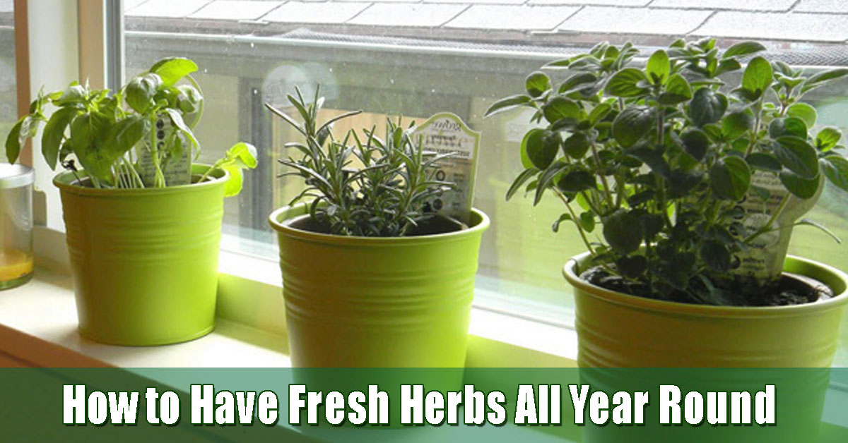 Herb Garden Ledge